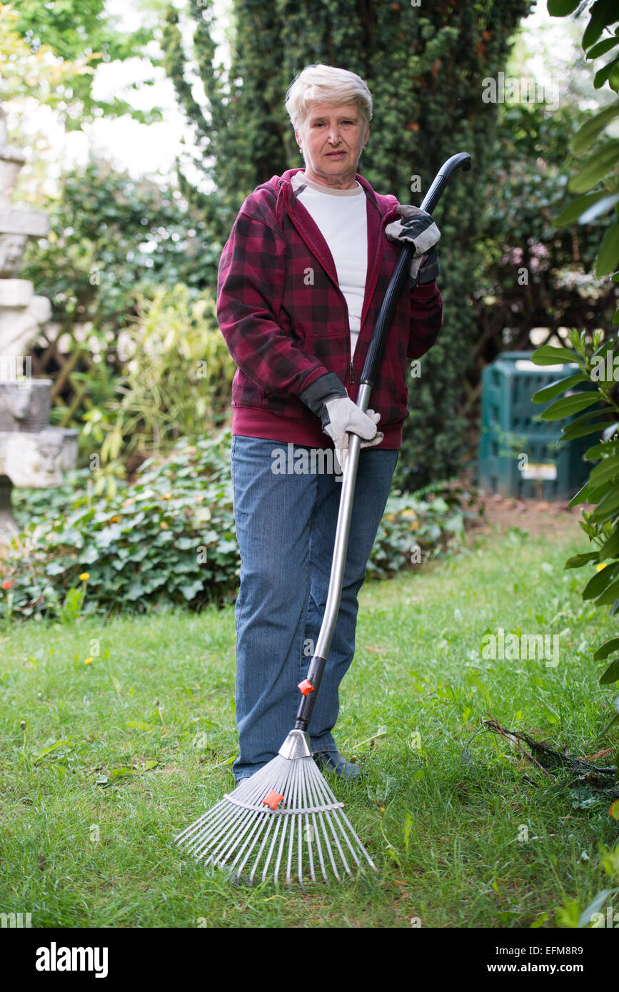 senior woman gardening, using leaf rake Stock Photo - Alamy