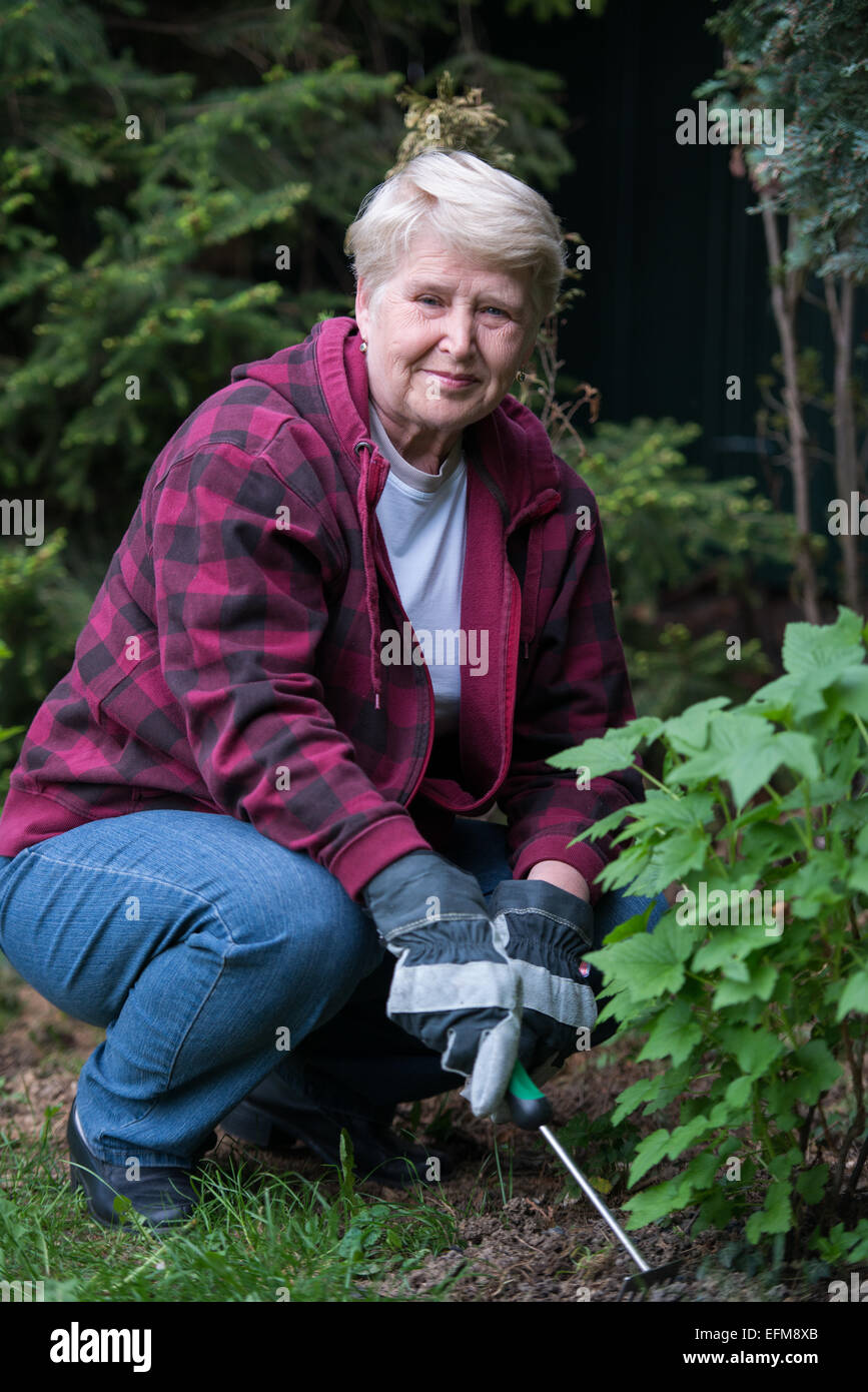 senior woman gardening, using Rake Stock Photo - Alamy
