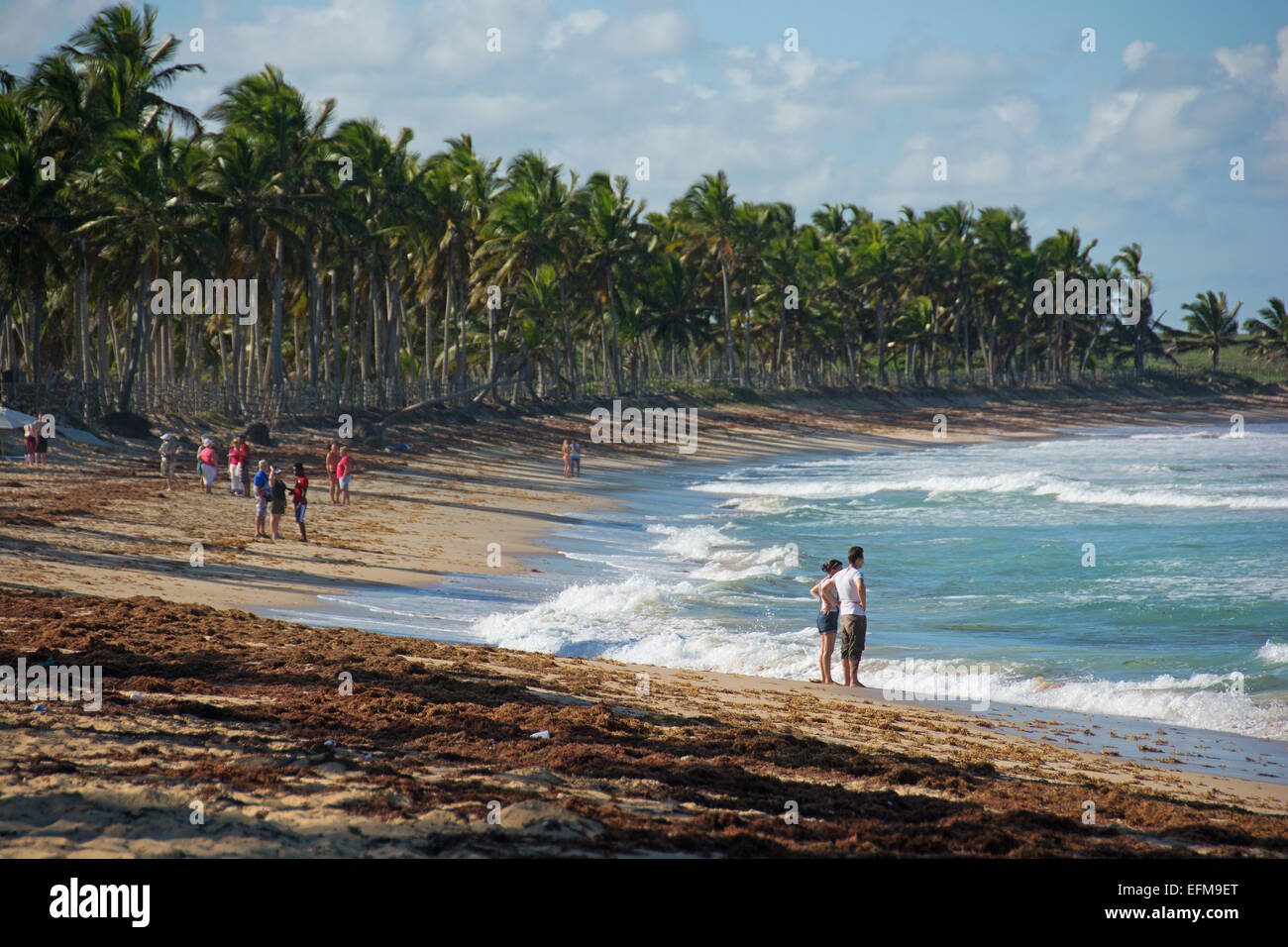 DOMINICAN REPUBLIC. Undeveloped Macao beach near Punta Cana. 2015 Stock ...