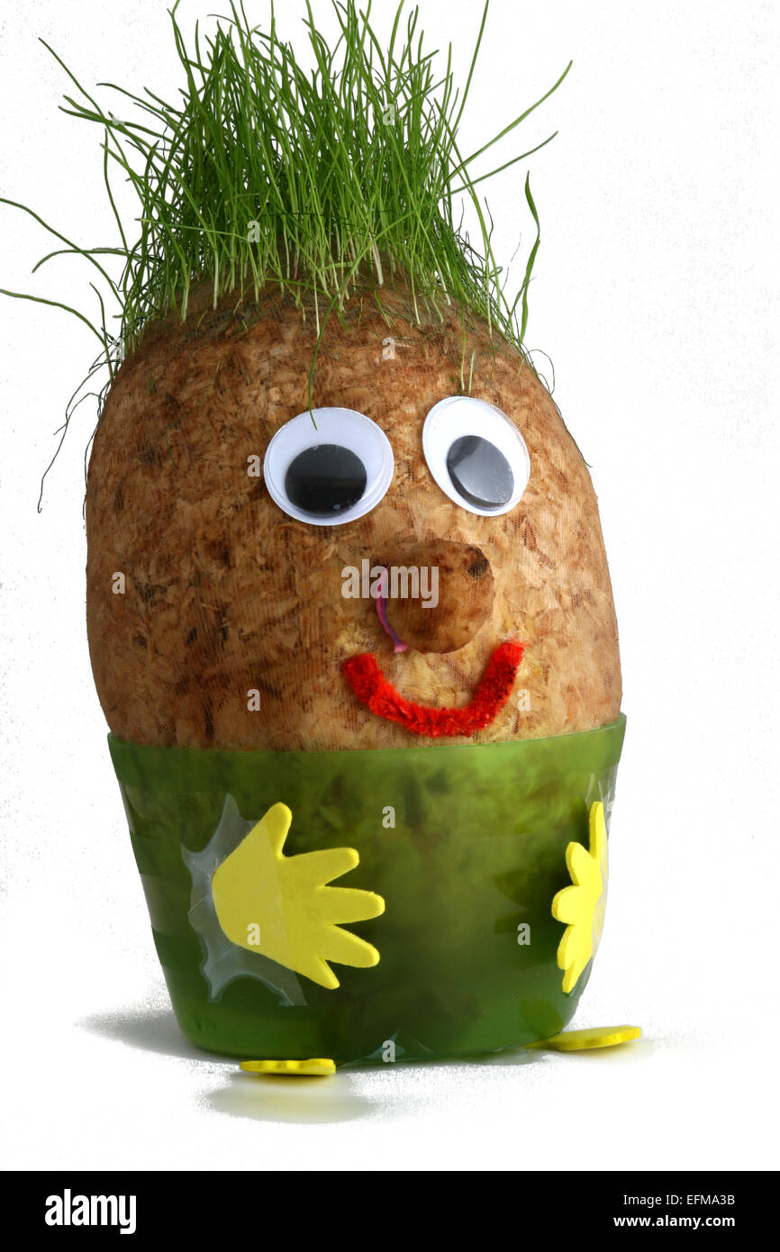 Grass growing as hair on a childs craft toy Stock Photo - Alamy