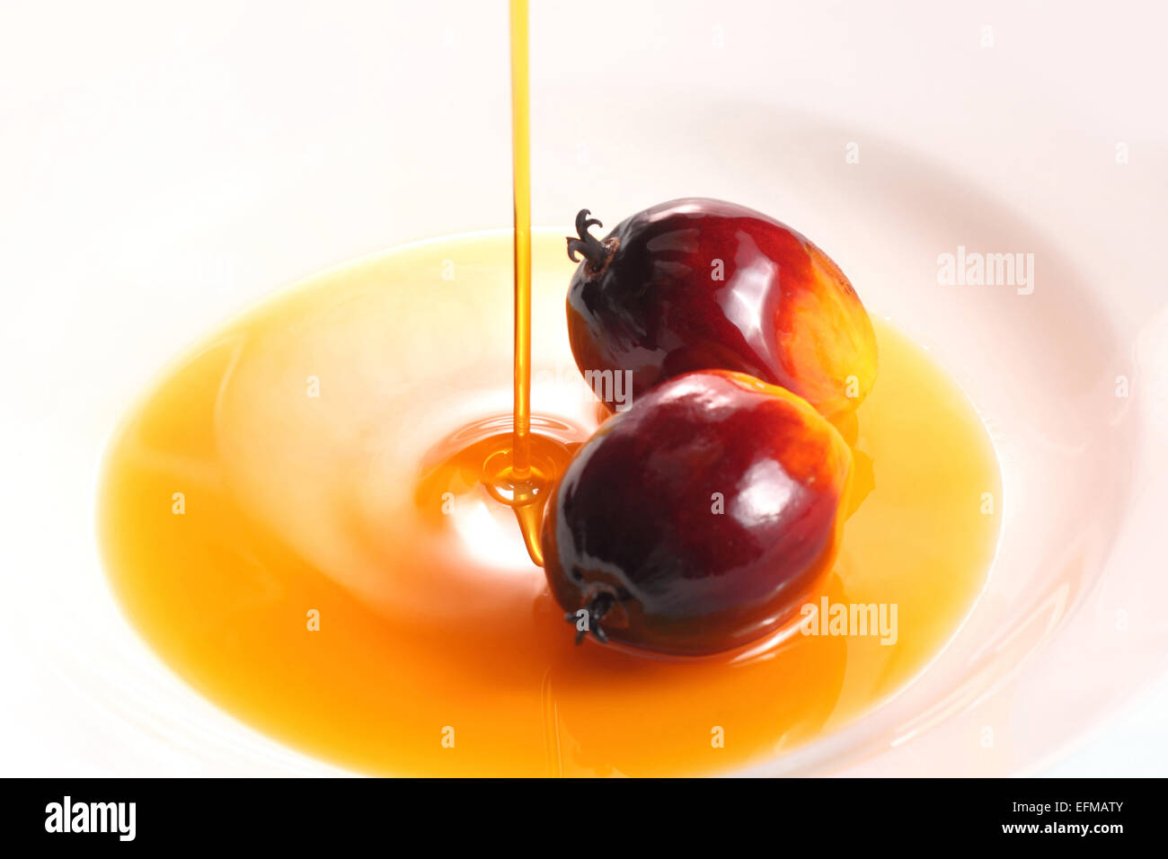 Pouring cooking oil on white background with oil palm fruits Stock ...