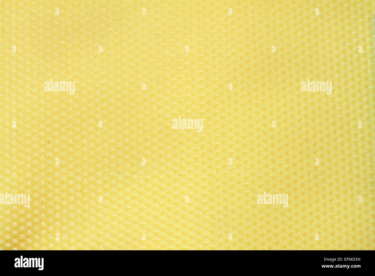 Hexagonal cell texture hi-res stock photography and images - Alamy