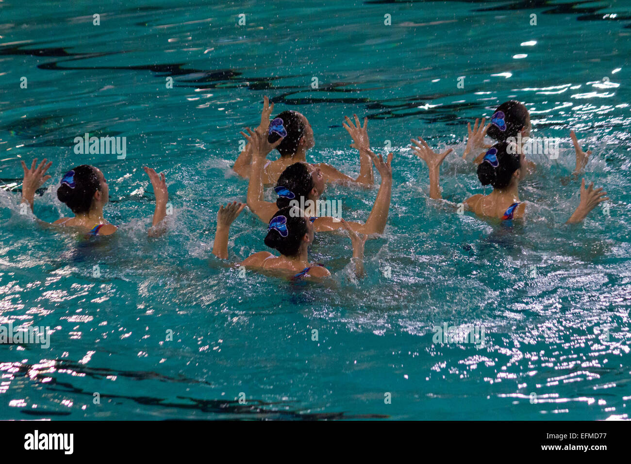Italian swimming teams hi-res stock photography and images - Alamy