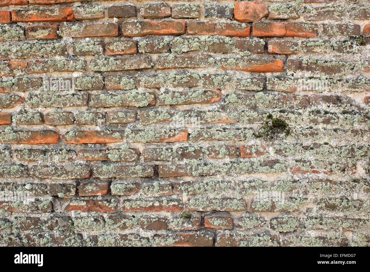 very old brick wall at exterior of ancient fortress Stock Photo - Alamy