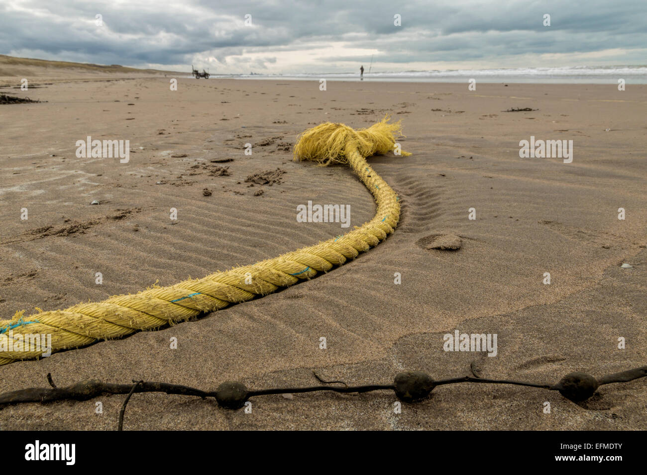 Still life: Frayed yellow rope washed ashore, on the beach at Katwijk ...