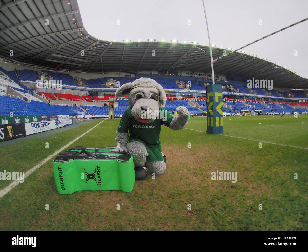 Reading mascot hi-res stock photography and images - Alamy