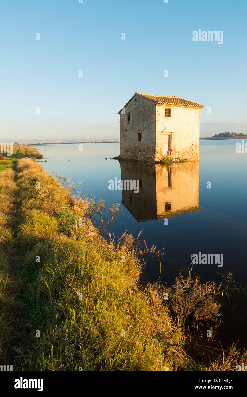 Flooded rice paddy and traditional Mediterranean farm house, Albufera ...