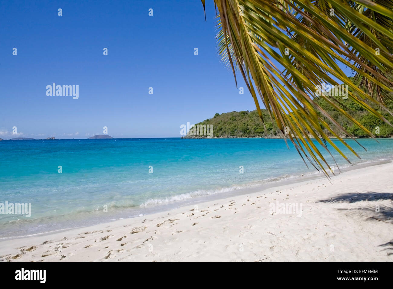 Beautiful tropical beach with palm trees. U.S. Virgin Islands Stock ...