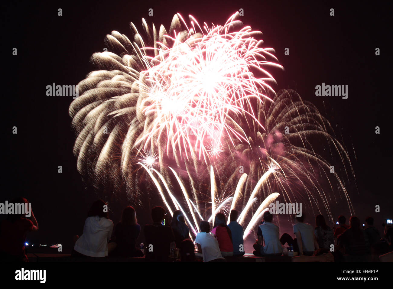 Pasay City, Philippines. 7th Feb, 2015. People watch fireworks during ...