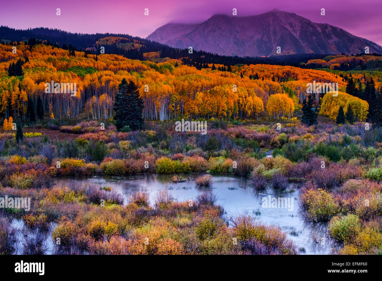East Beckwith Mountain is shrouded in clouds along Kebler Pass during ...