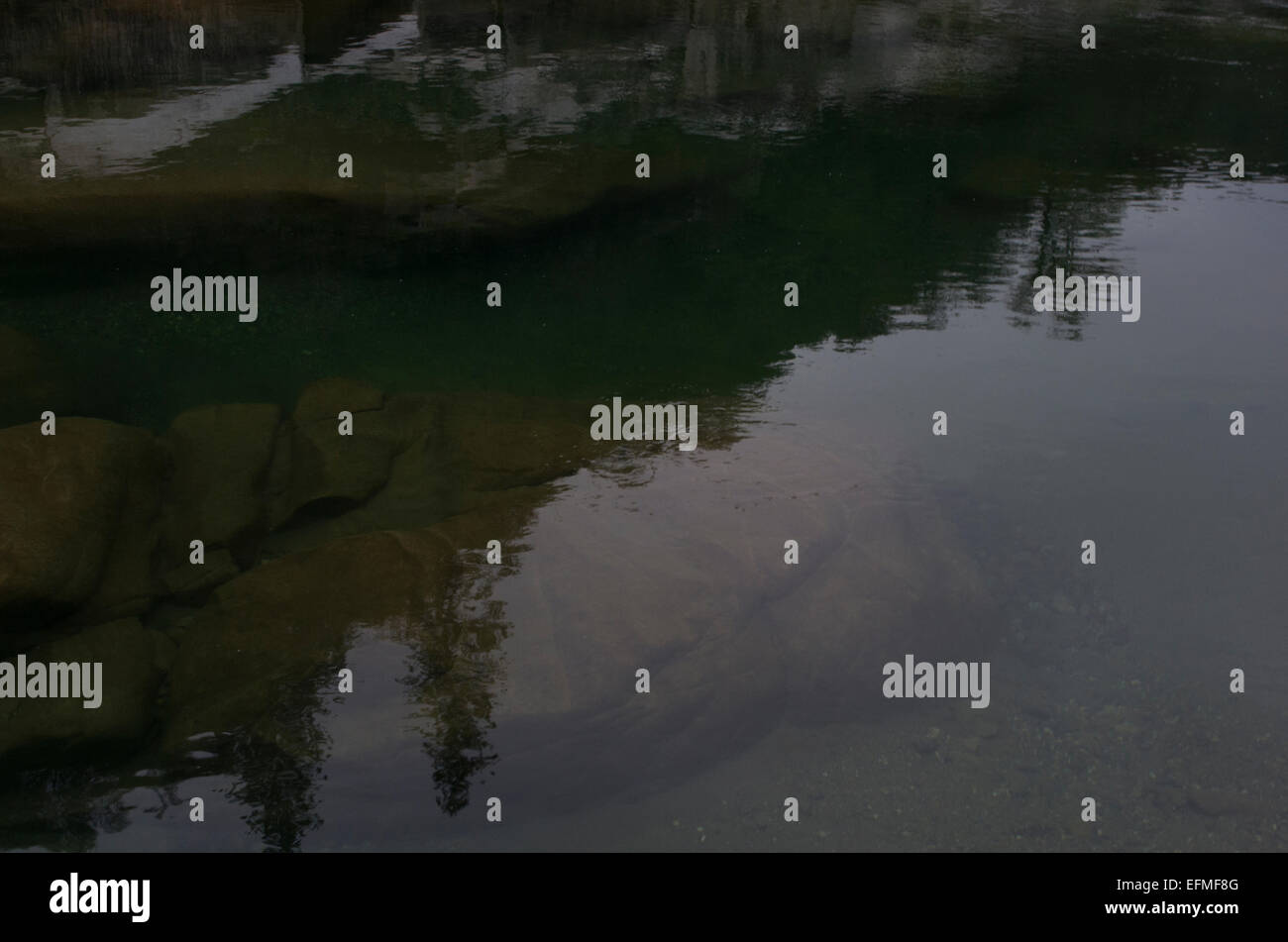 Trees reflecting in river Stock Photo - Alamy