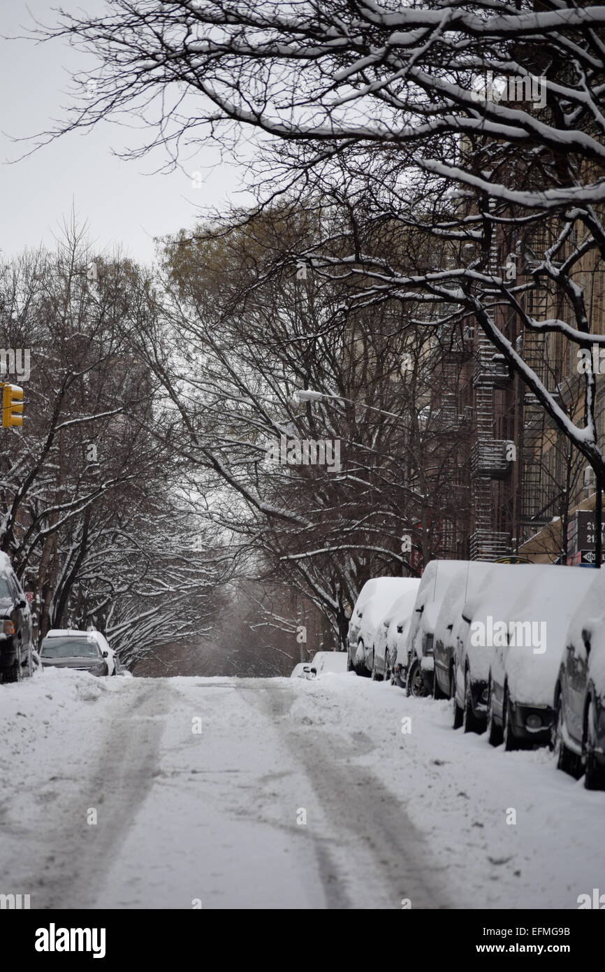 Cars and trees hi-res stock photography and images - Alamy