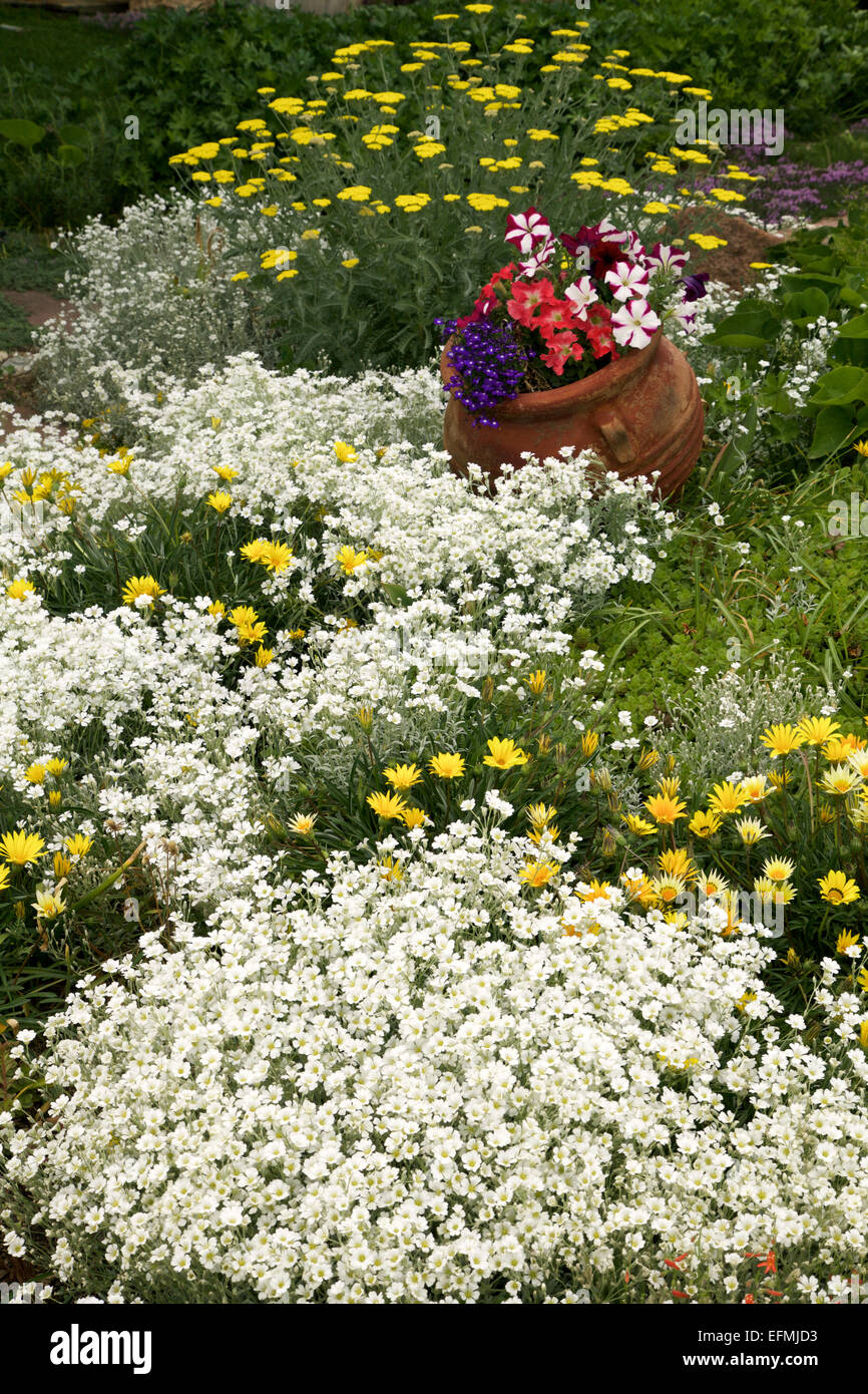 Perennials bed summer hi-res stock photography and images - Alamy