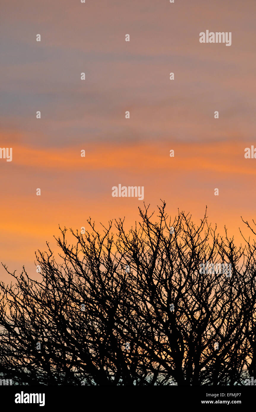 Aberystwyth, Wales, UK. 7th February, 2015. UK weather. "Red sky at ...