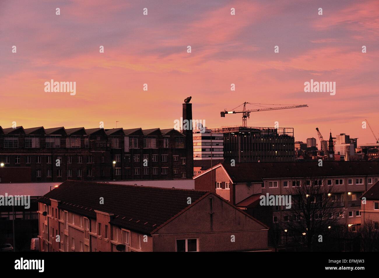 Building gorbals glasgow hi-res stock photography and images - Alamy