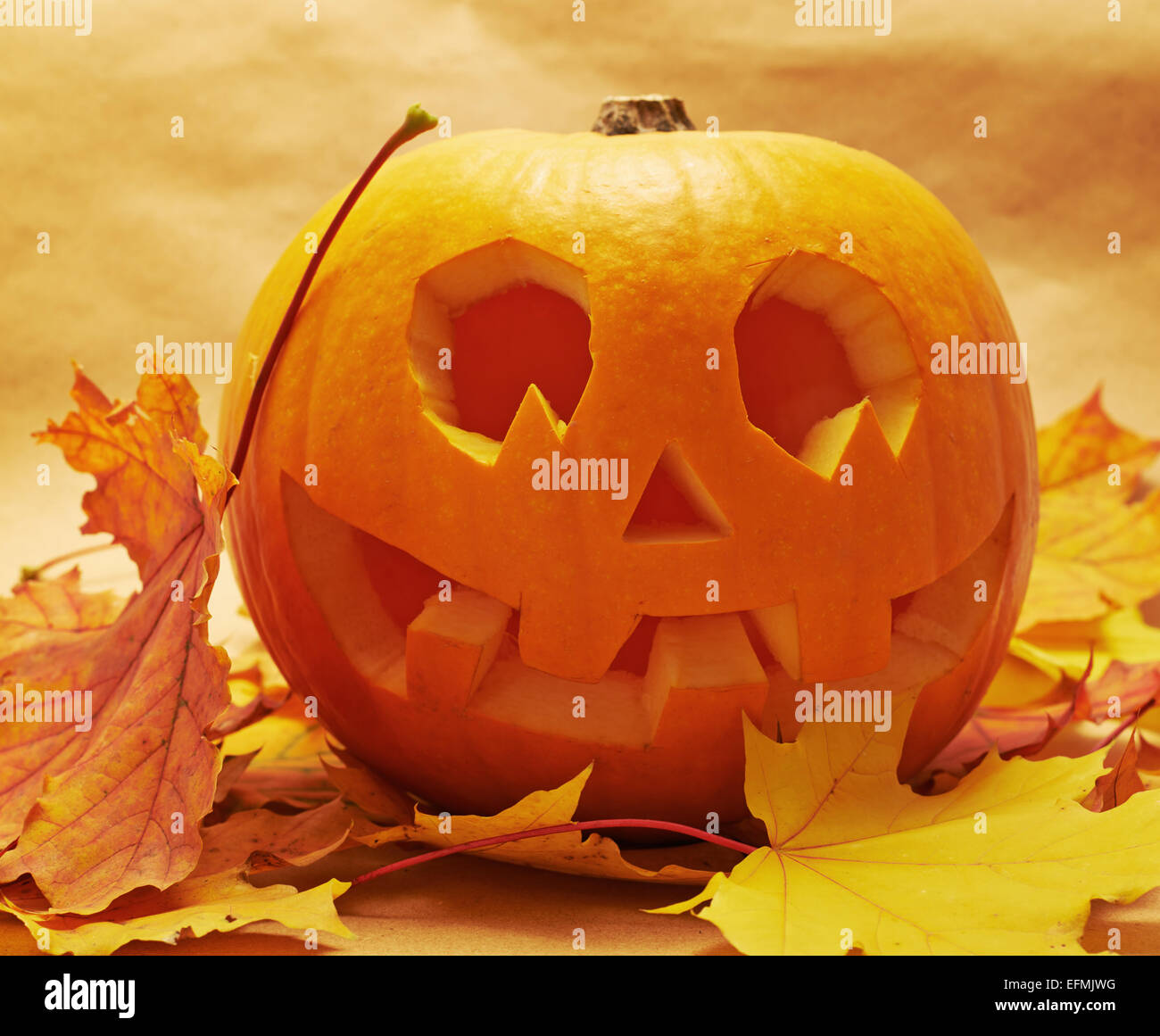 Pumpkin Jack-o'-lantern over maple-leaf Stock Photo - Alamy