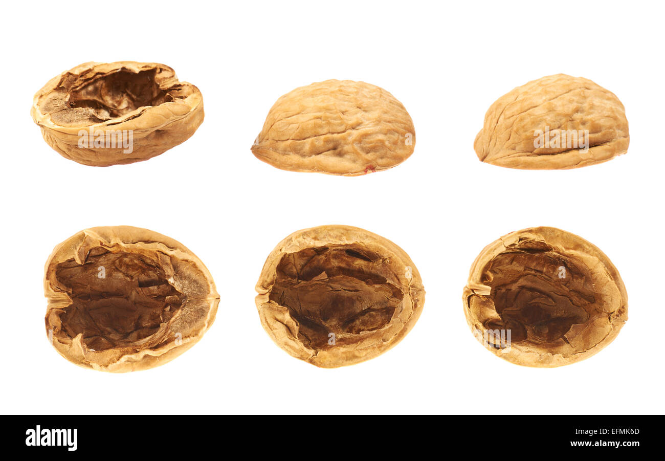 Walnut side Cut Out Stock Images & Pictures - Alamy