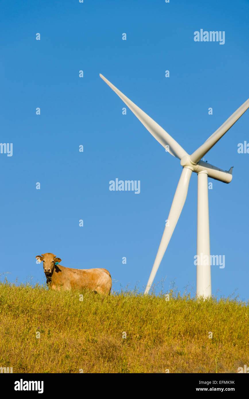 Wind turbine, Vasco Road Green Energy Corridor, California, USA Stock ...