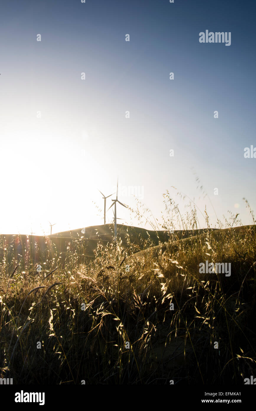 Wind turbine, Vasco Road Green Energy Corridor, California, USA Stock ...