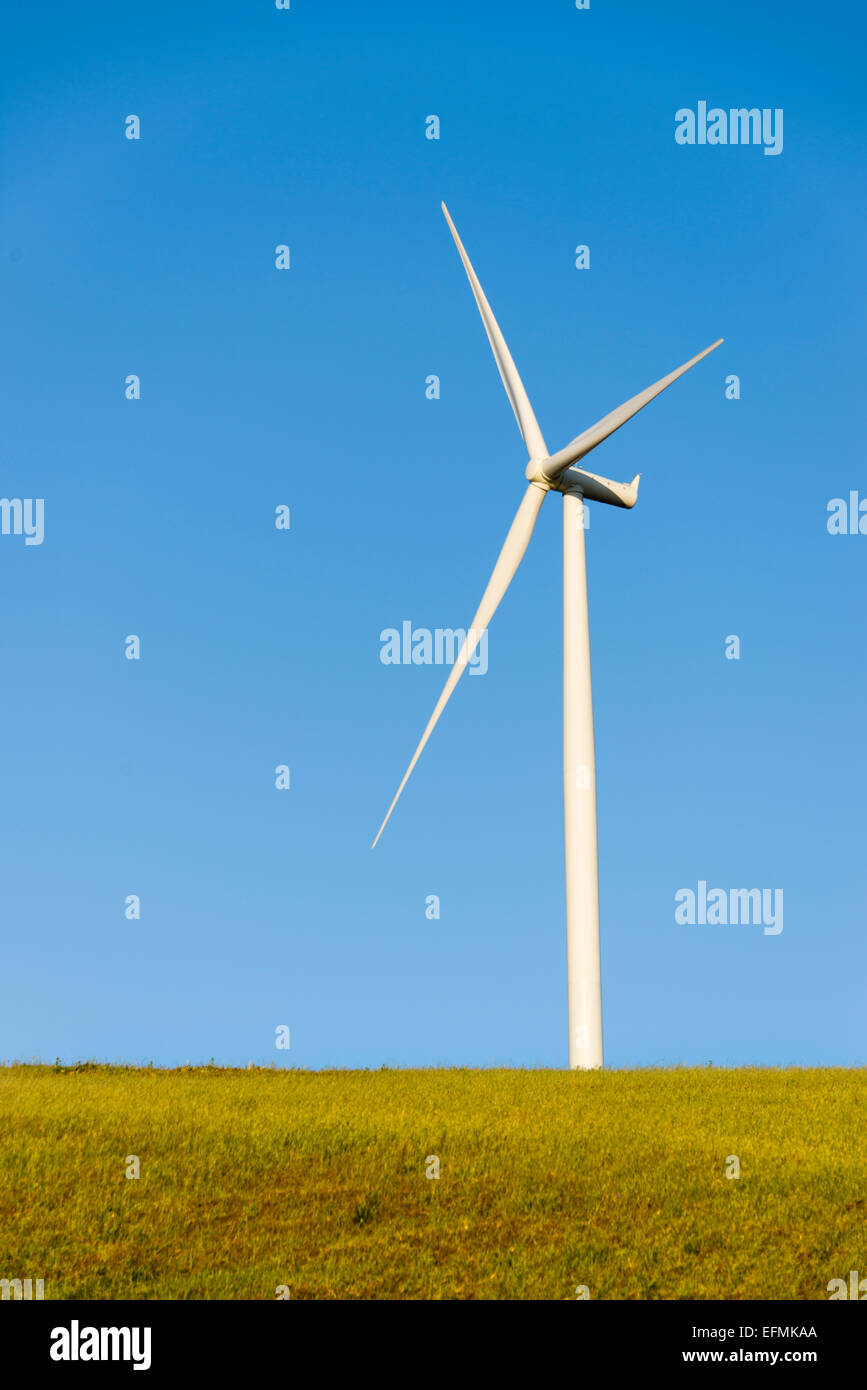 Wind turbine, Vasco Road Green Energy Corridor, California, USA Stock ...