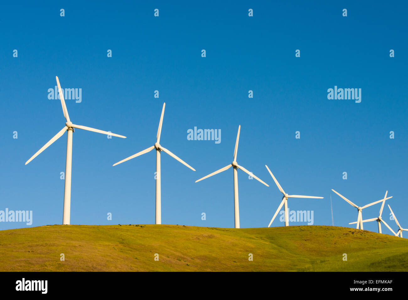 Wind farm, Vasco Road Green Energy Corridor, California, USA Stock ...