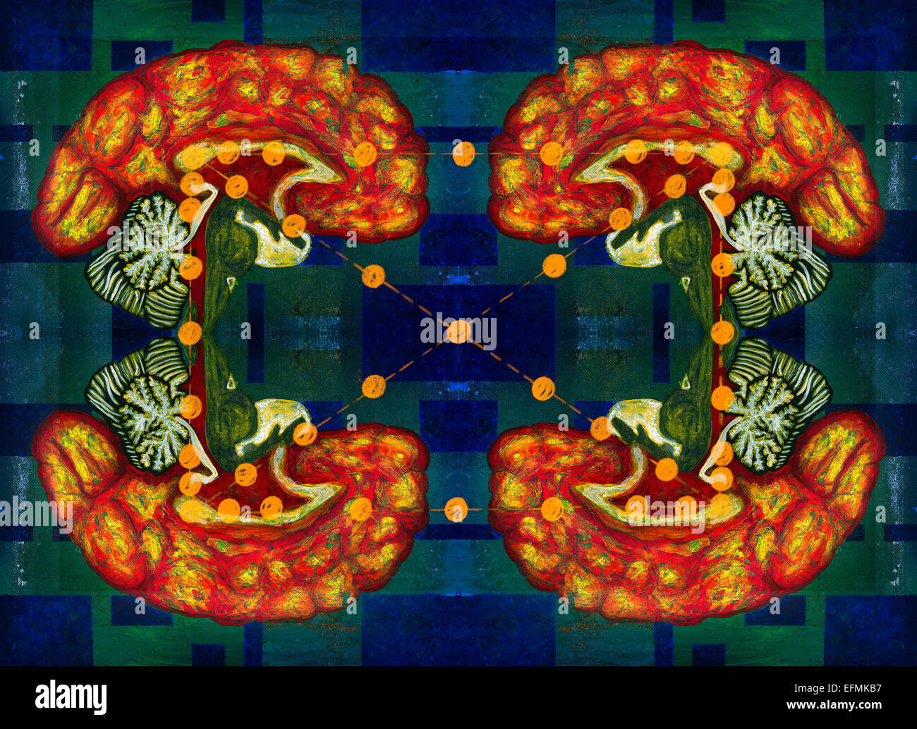 Multiple intelligence human brain hi-res stock photography and images ...