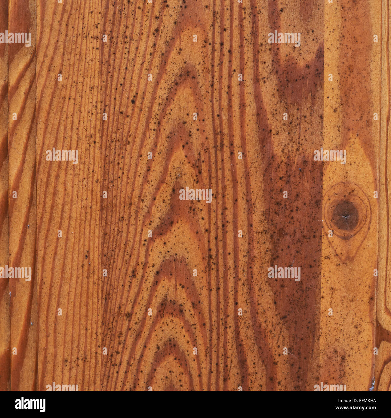 Old moldy wood texture background hi-res stock photography and images ...