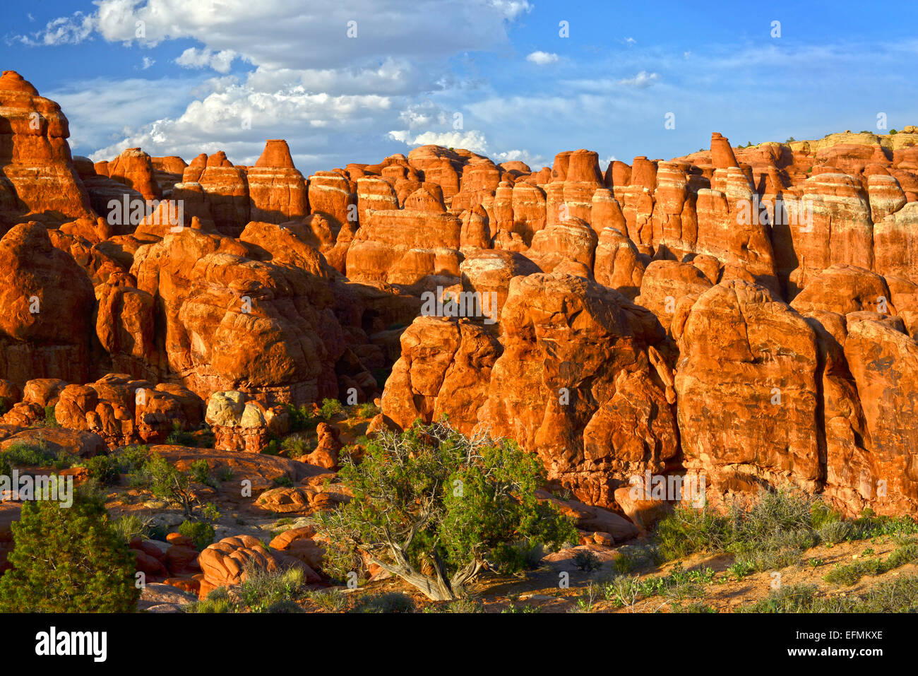 The Fiery Furnace in Arches National Park, Utah, United States Stock ...