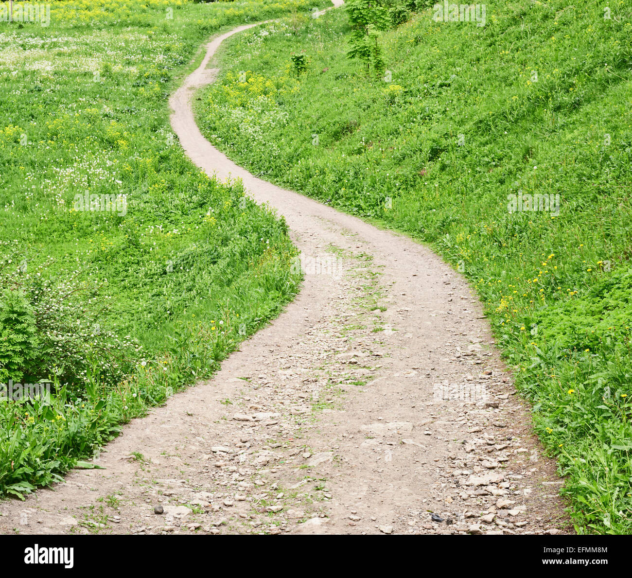 Footpath sunlight winding beautiful hi-res stock photography and images ...