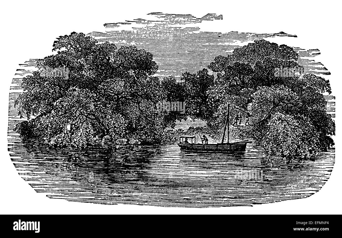 19th century engraving of a boat on a lake buy the shore in Africa ...