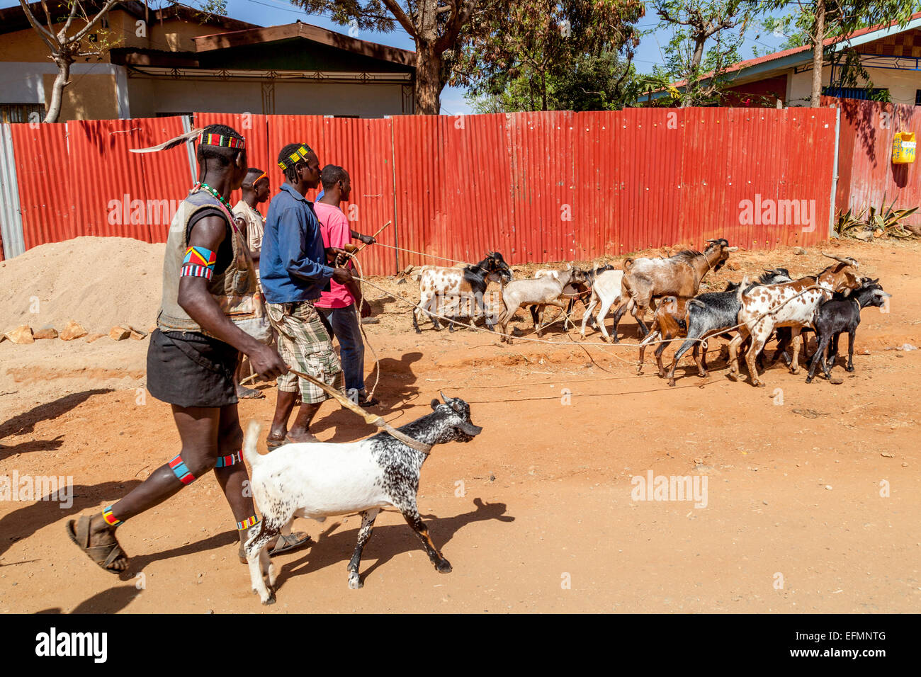 Men From The Banna Tribe Take Their Goats To The Livestock Market In ...