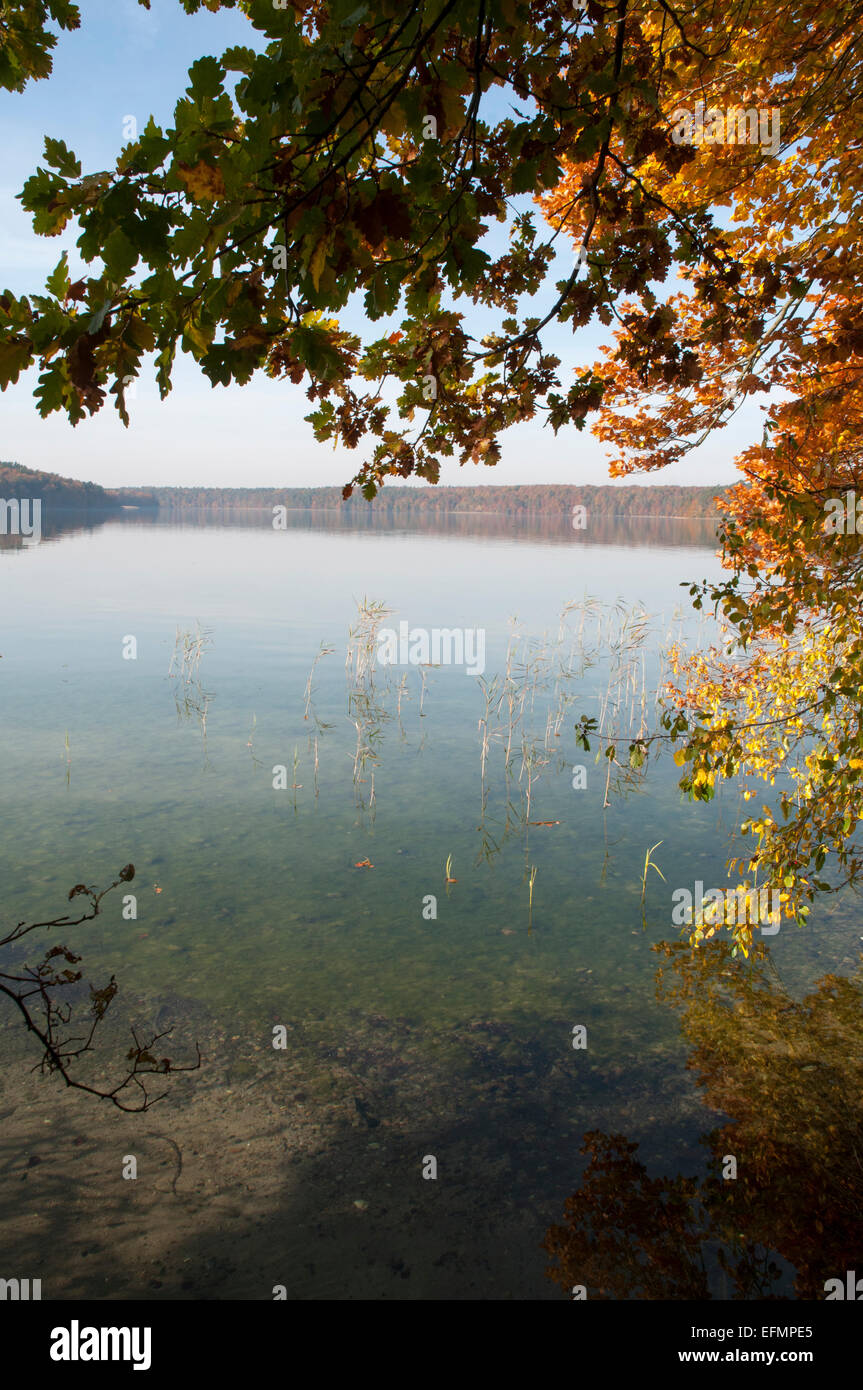 Großer Stechlinsee High Resolution Stock Photography and Images - Alamy