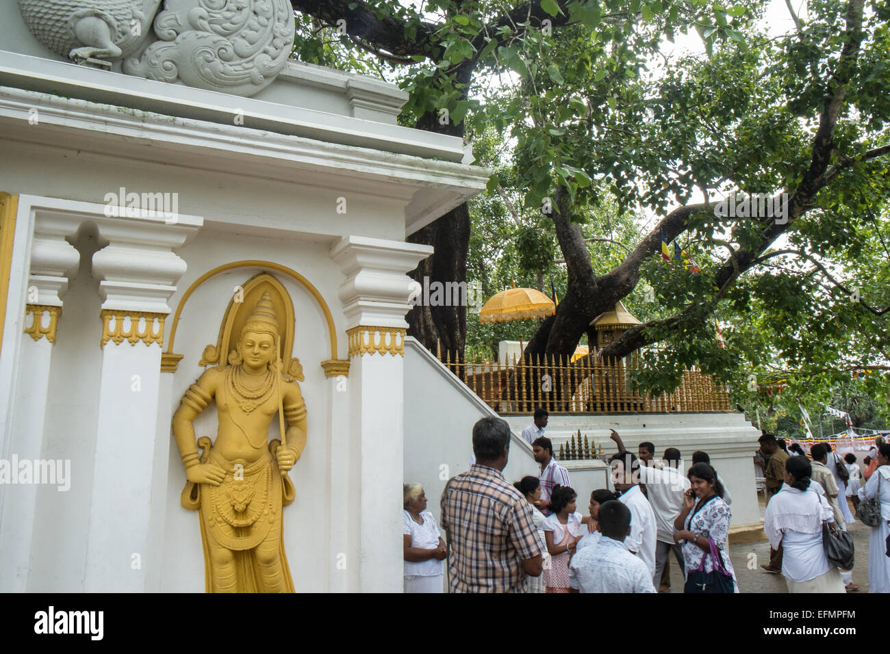 Devotee worship at sacred bo,bodhi,tree,temple Buddhist,Anuradhapura ...
