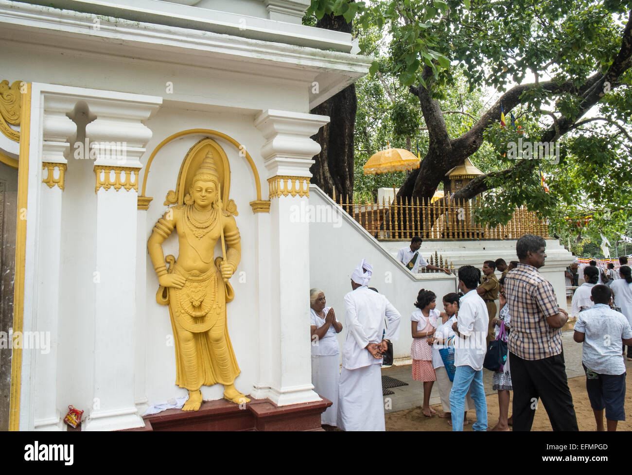 Devotee worship at sacred bo,bodhi,tree,temple Buddhist,Anuradhapura ...