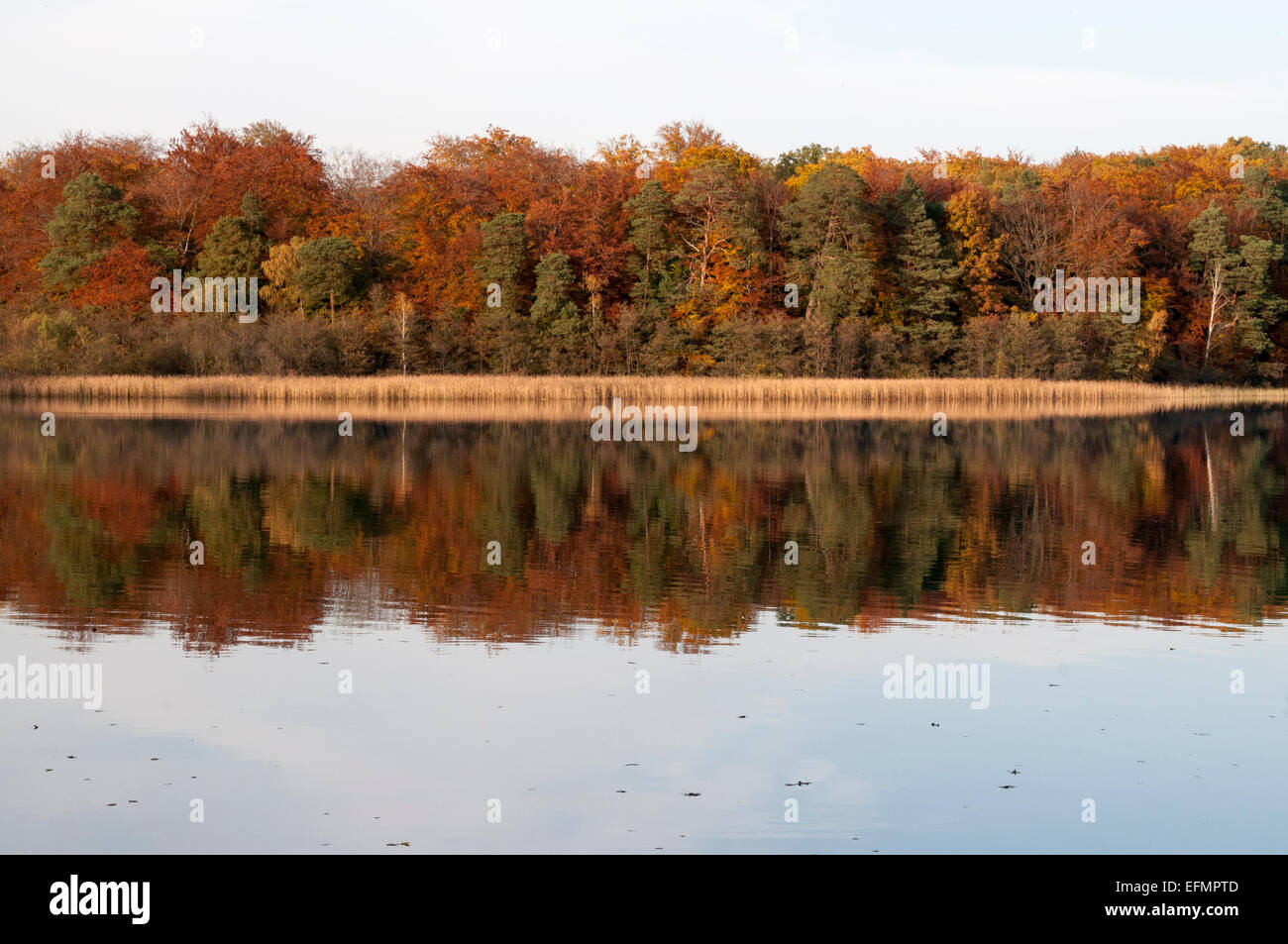 Großer stechlinsee hi-res stock photography and images - Alamy