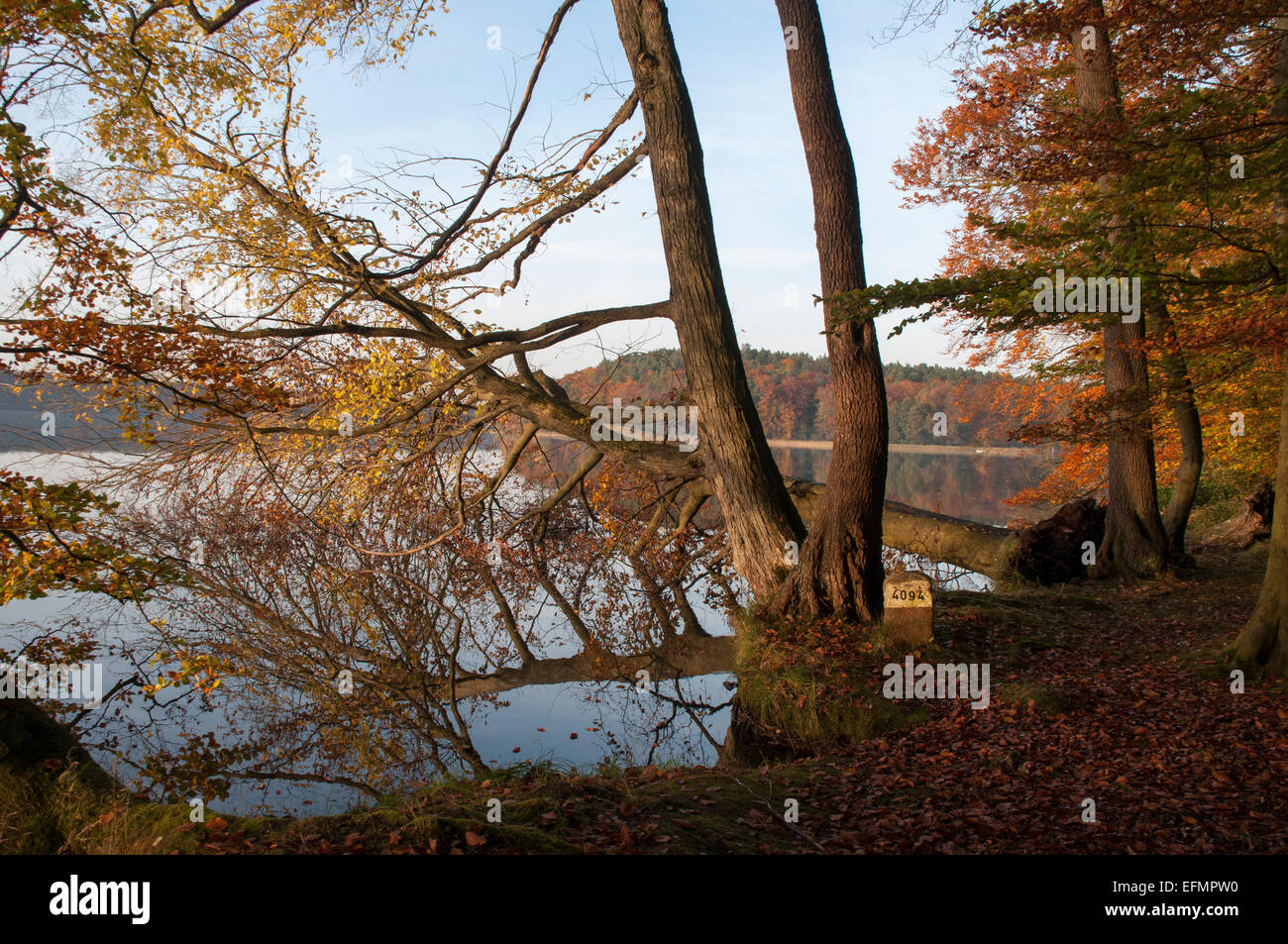 Großer stechlinsee hi-res stock photography and images - Alamy