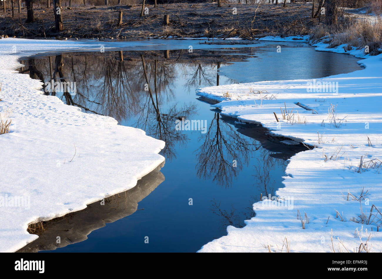 Snow and ice with open water reflecting trees on pond in wildlife ...