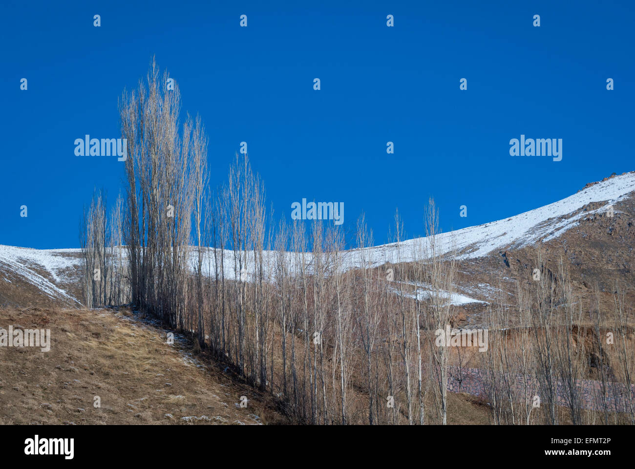 Alborz Mountains, Tehran, Iran Stock Photo - Alamy