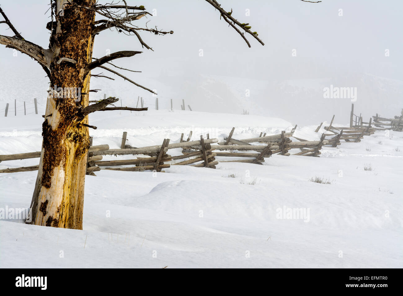 Pole fence hi-res stock photography and images - Alamy