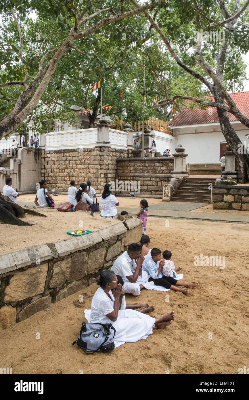 Buddhist pilgrims sri maha bodhi hi-res stock photography and images ...