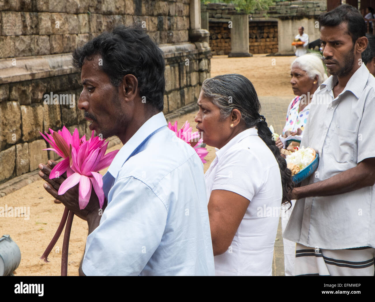 Devotee worship with lotus leaf at sacred bo,bodhi,tree,temple Buddhist ...