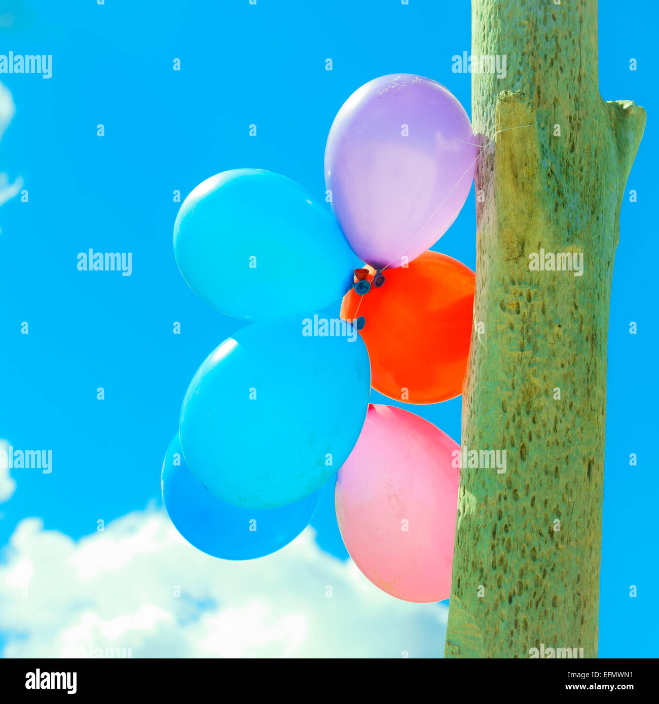 Concept of love in summer, freedom and wedding honeymoon. Colorful ...