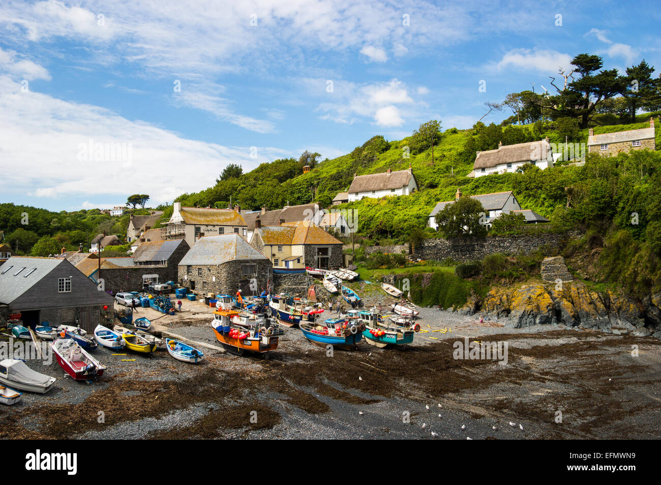 Cadgwith Cove, Fishing Village, Lizard, Cornwall Coast Stock Photo - Alamy