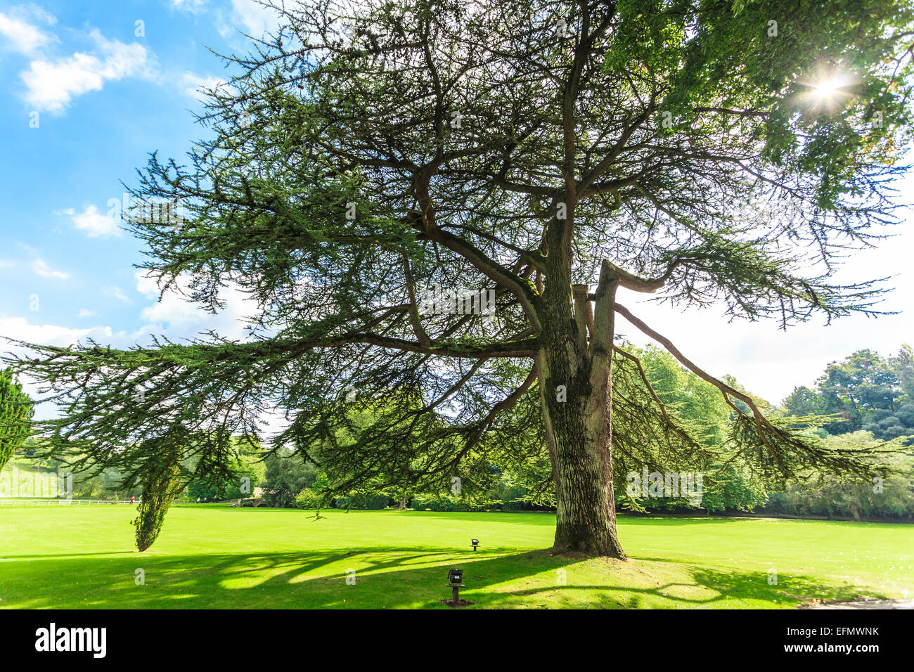 England village nature hi-res stock photography and images - Alamy