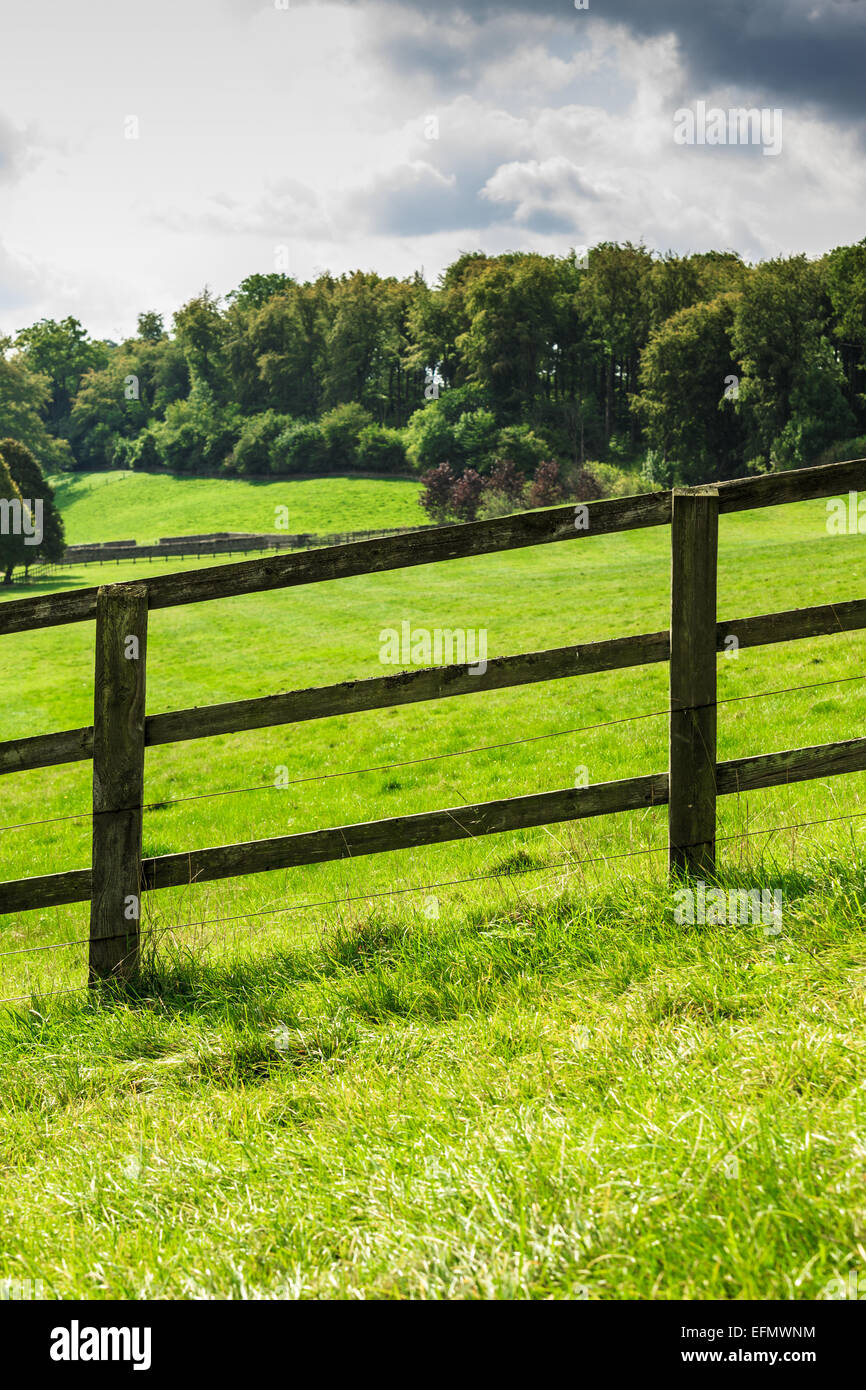 Beauty in nature summer landscape. Countryside view of green fields in ...