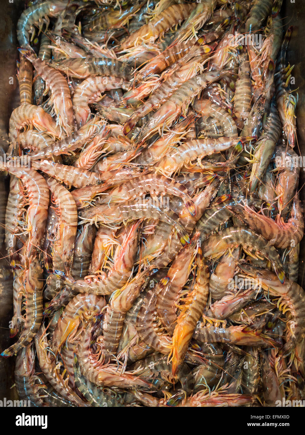 Box of shrimp hi-res stock photography and images - Alamy