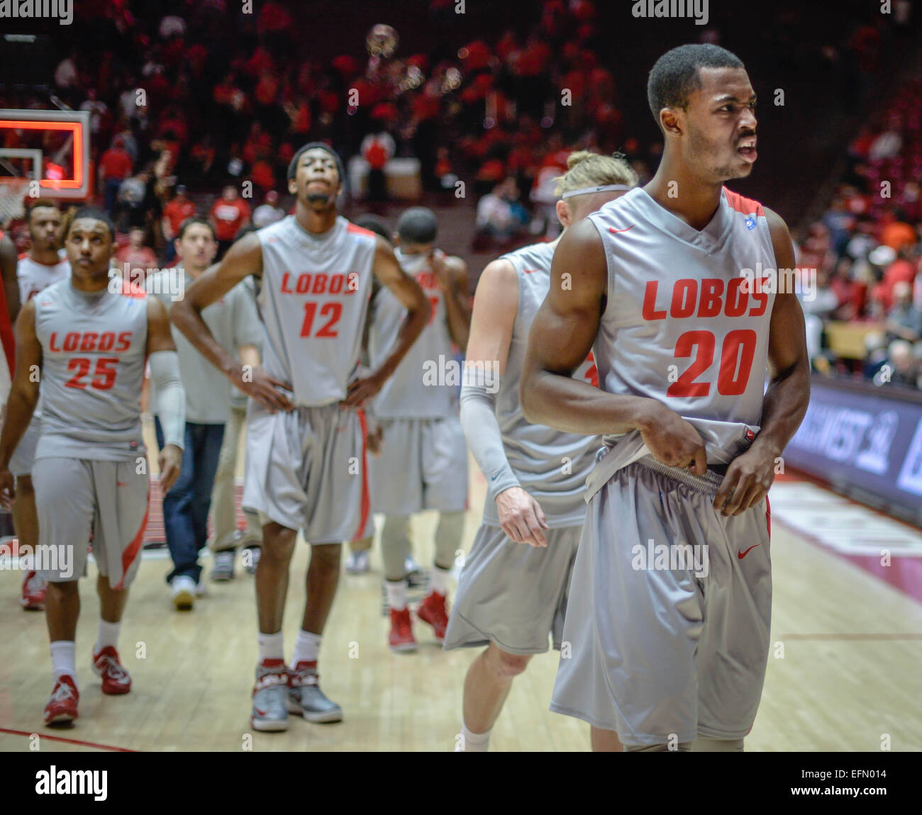 Lobo mens basketball hi-res stock photography and images - Alamy