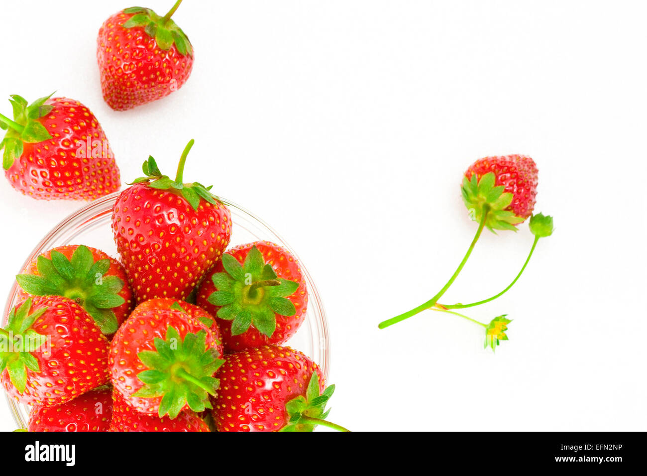 High key photo of fruit dish filled with nice red strawberries Stock ...