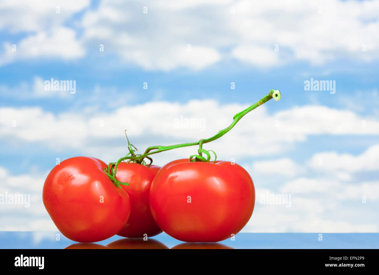 Nice market tomatoes hi-res stock photography and images - Alamy