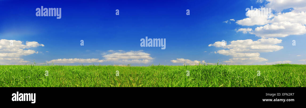 Cerulean blue banner hi-res stock photography and images - Alamy